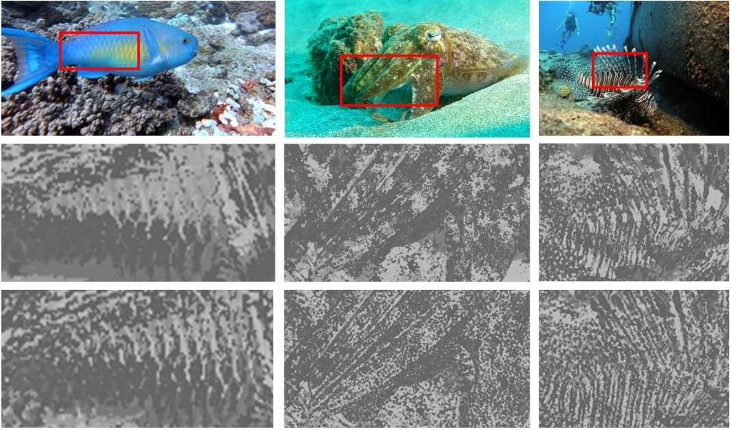 Homepage of Goujia Hou